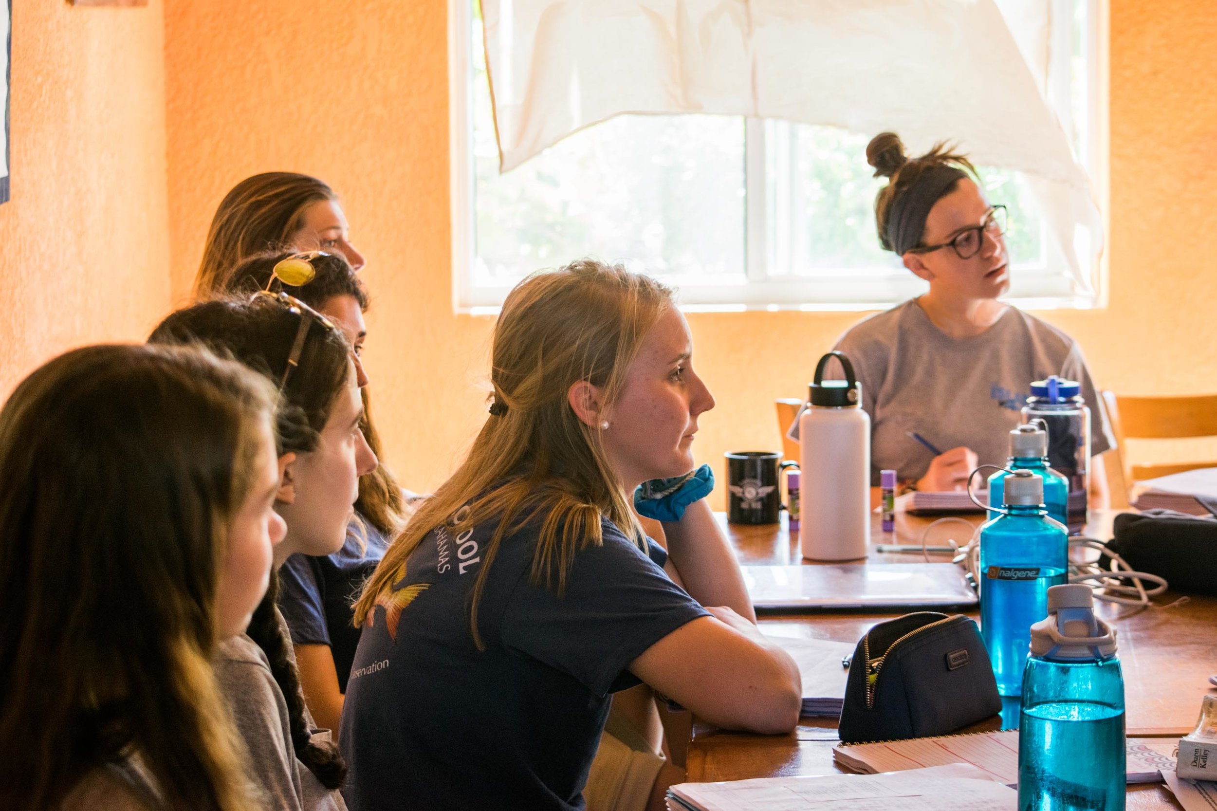 The Island School: A Model for Educational Revolution - The Island School