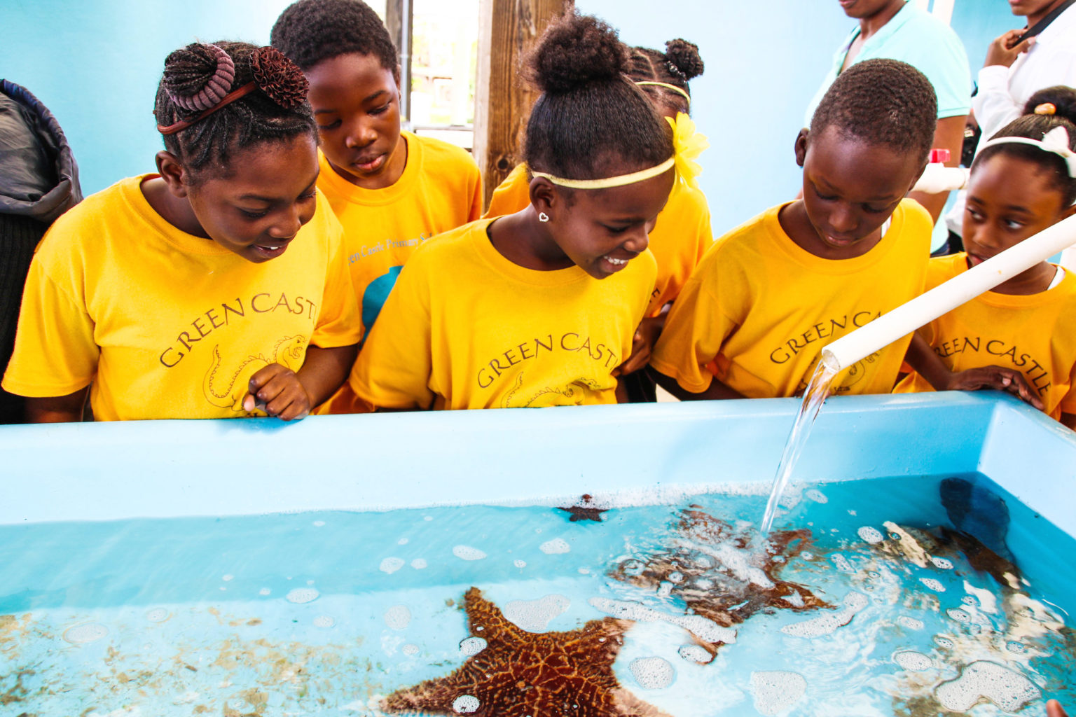 Home - The Island School