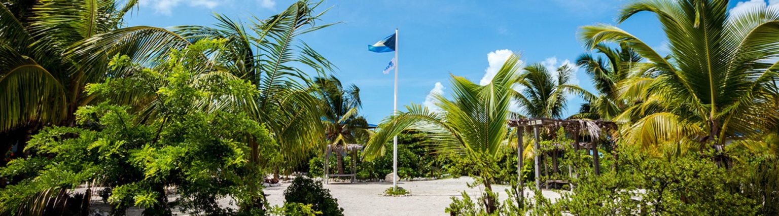 About Us - The Island School