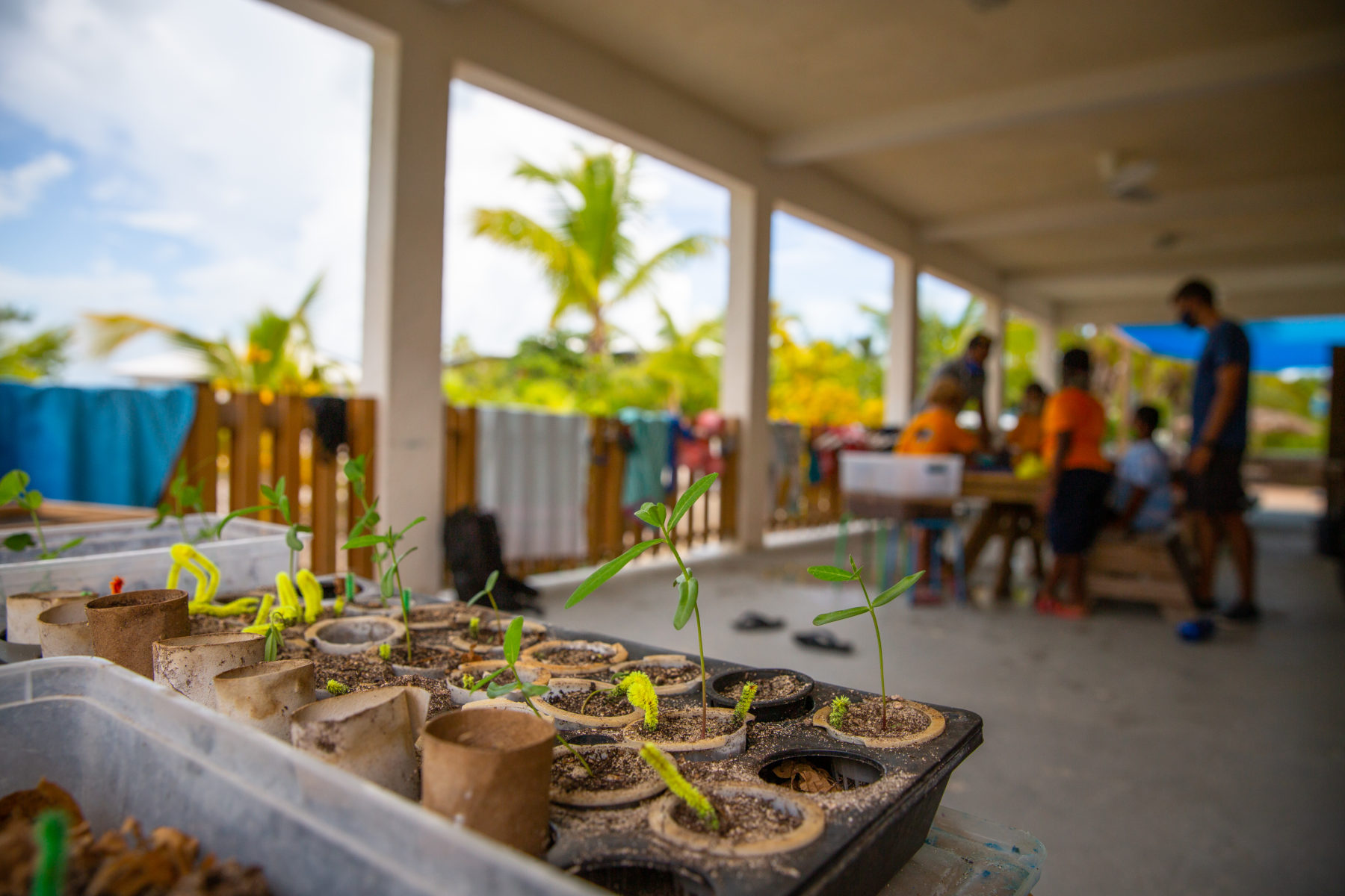 About The Elementary Learning Center - The Island School