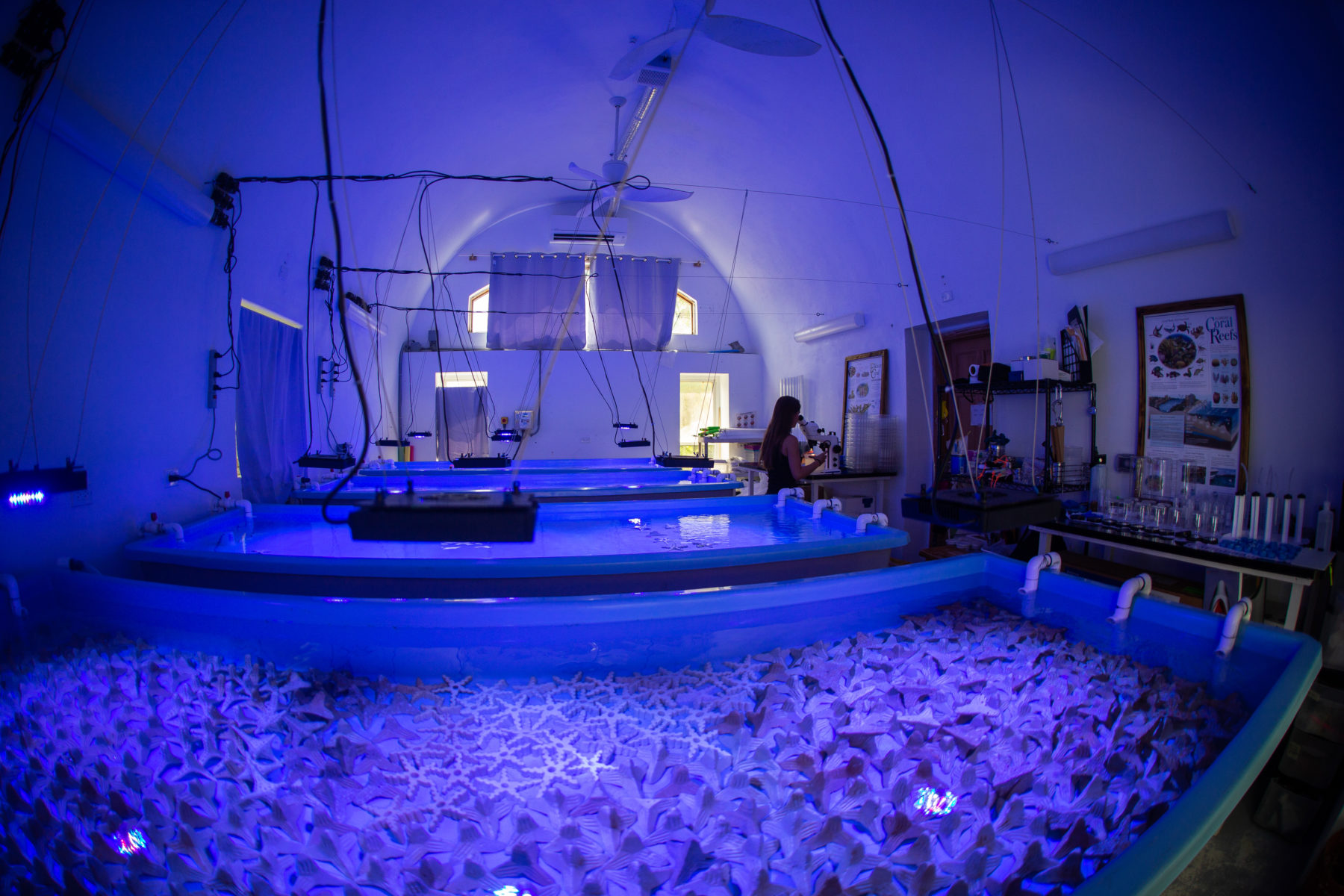 Research Facilities - The Island School