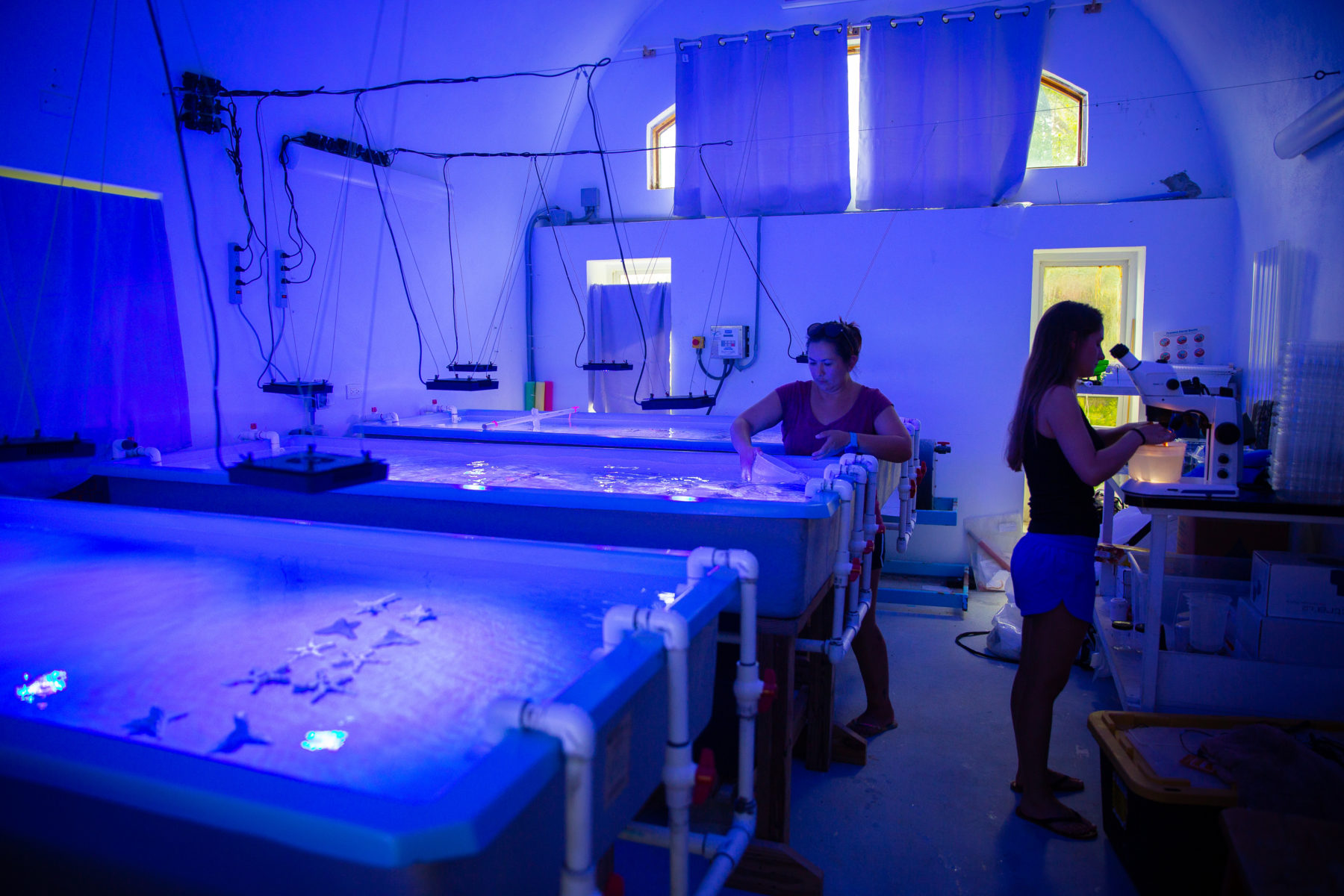 Research Facilities - The Island School