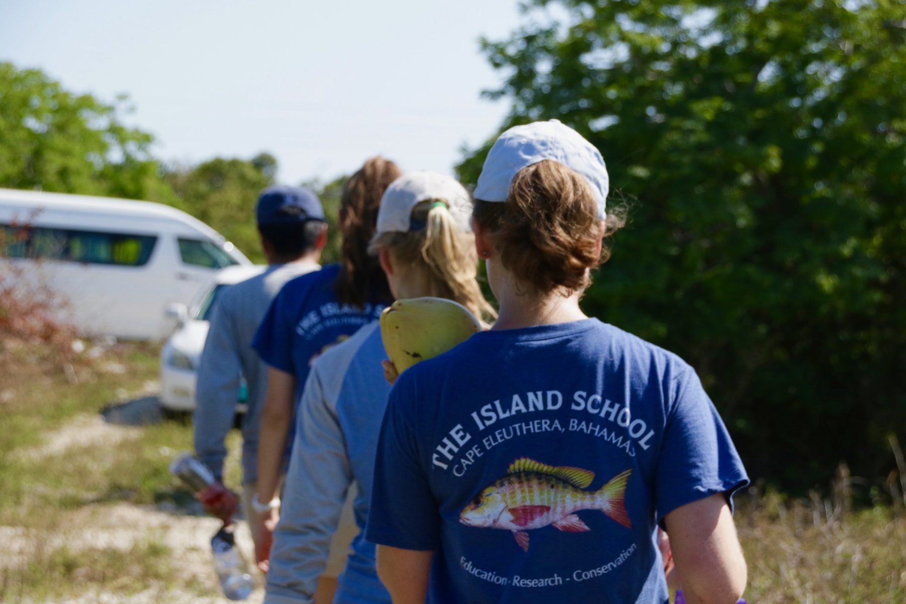 A Bold New Look for Our Shared Identity - The Island School