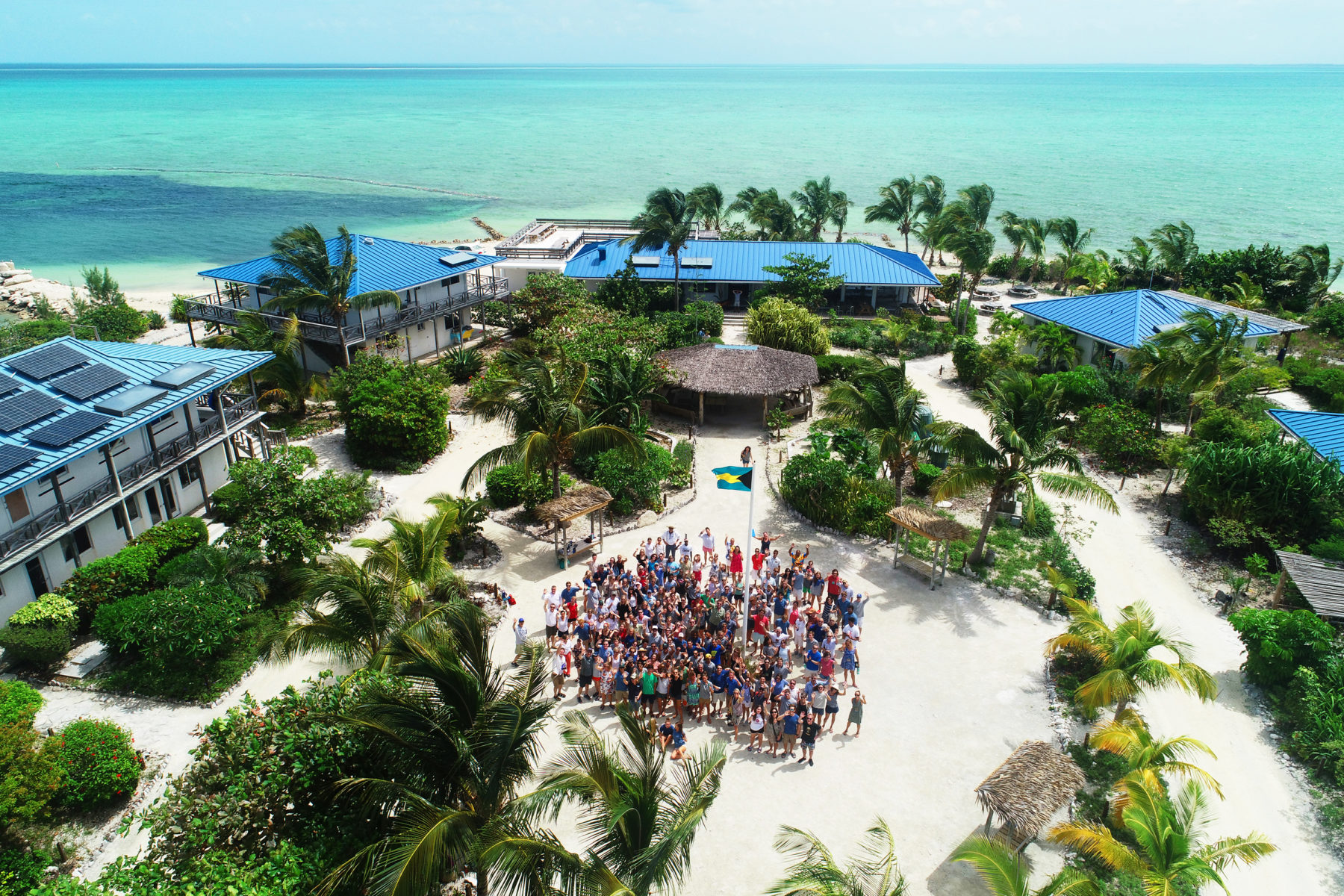 Alumni - The Island School