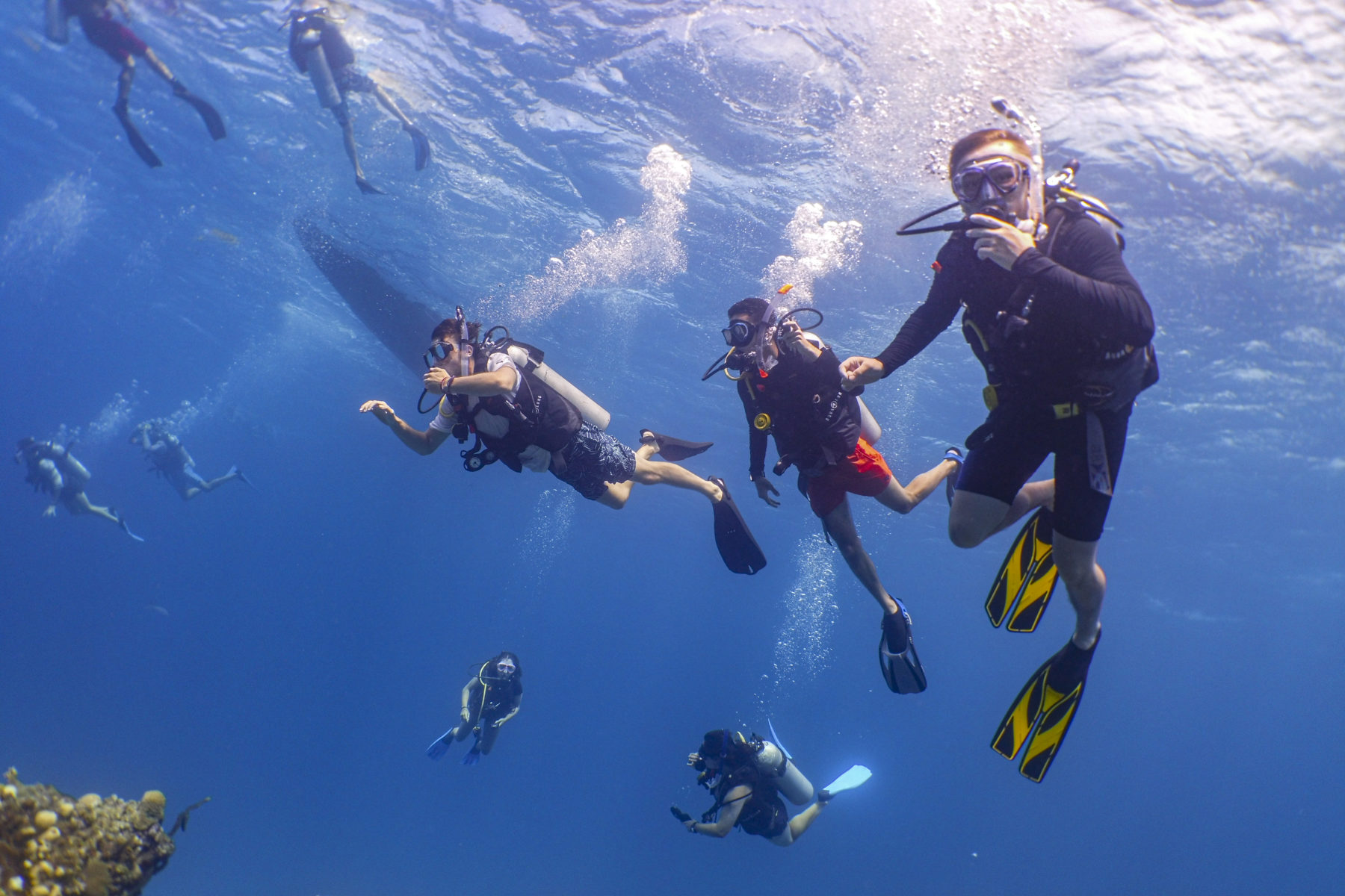 Summer Term - The Island School