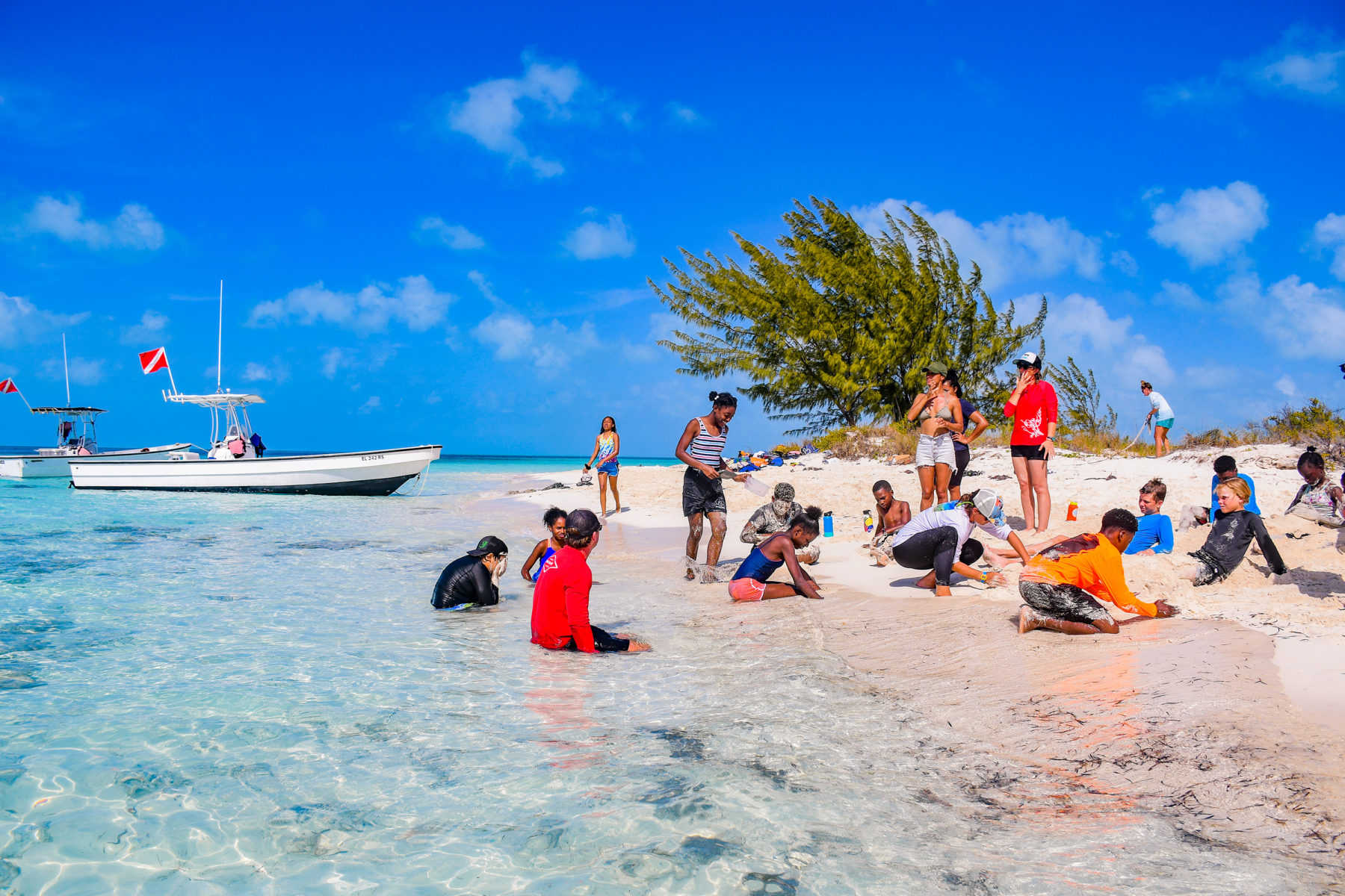 About Deep Creek Middle School - The Island School