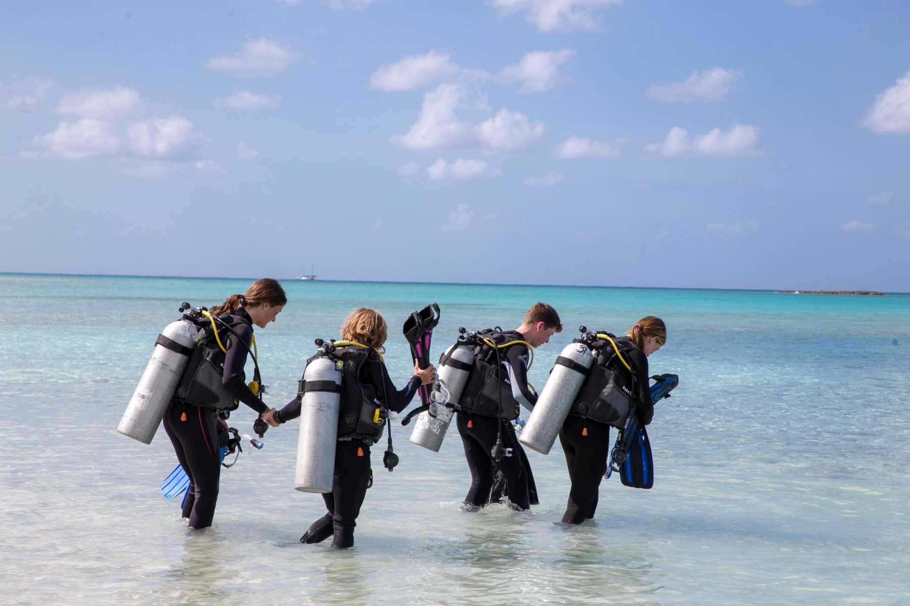 The Student Experience - The Island School