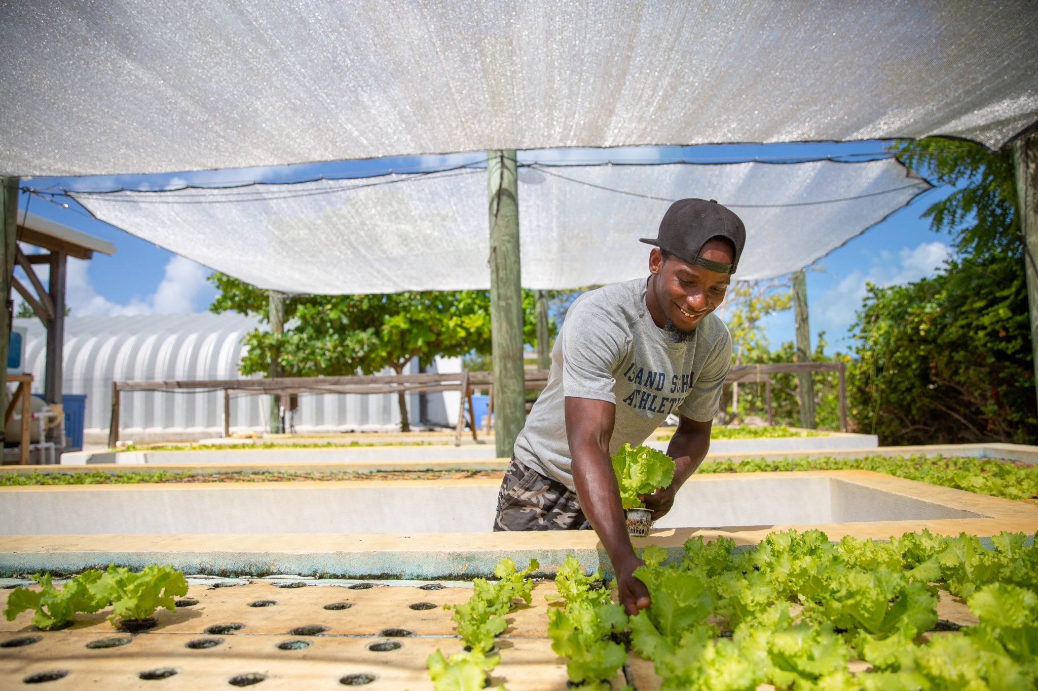 High School Semester & Summer Term - The Island School