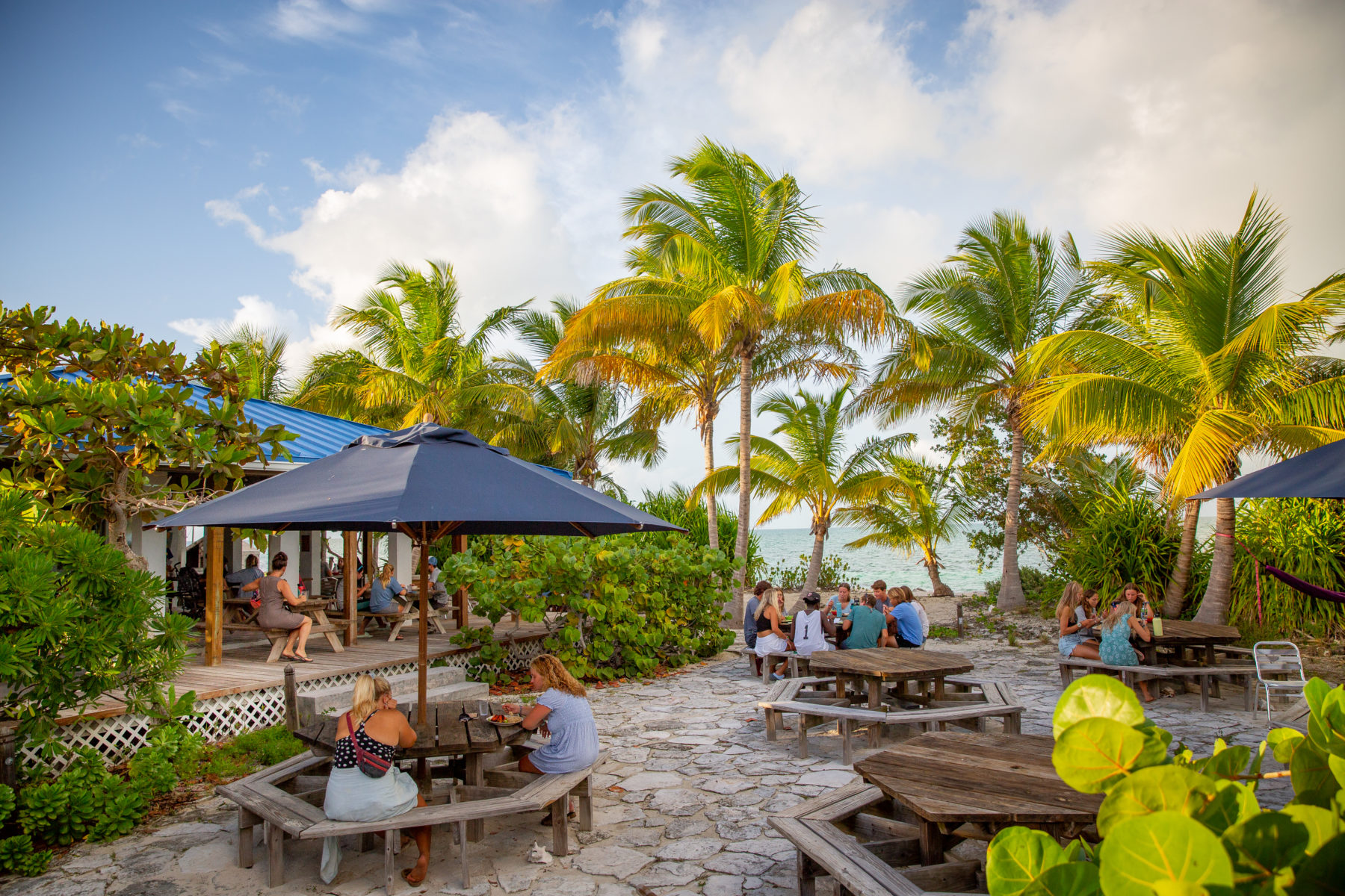 Enrolled Students - The Island School