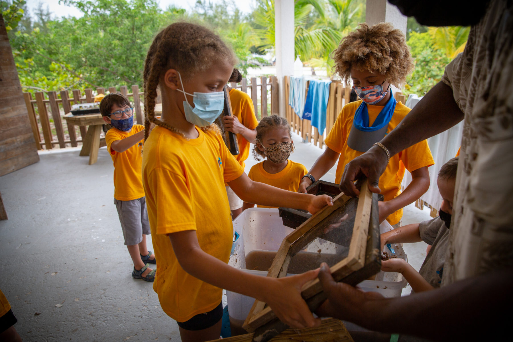 Elementary Learning Center - The Island School