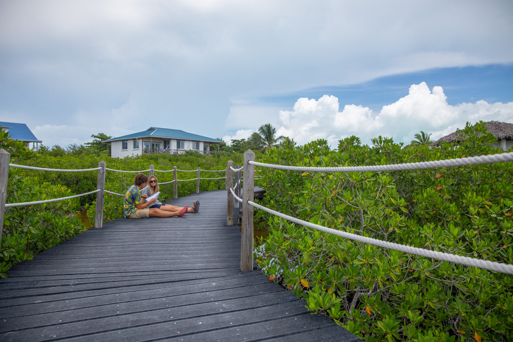 Apply Now - The Island School