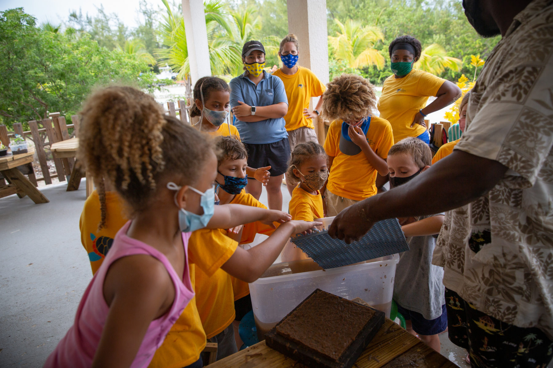 Academics - The Island School