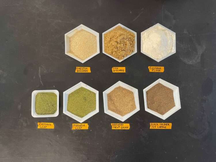 Local Ingredients Pave the Way for Sustainable Food Production in The ...