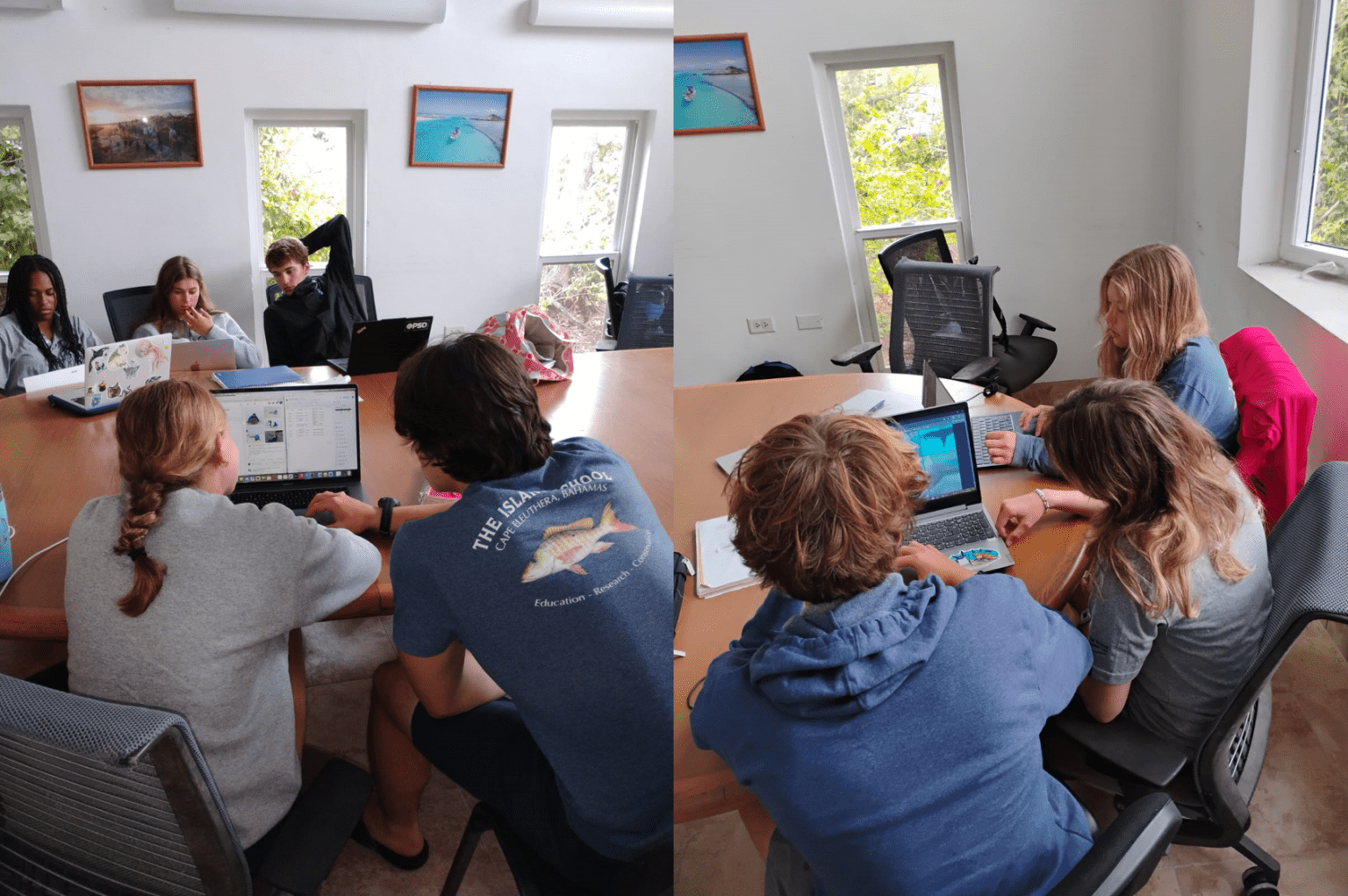 Spring 2025 Student Research Project: Stingrays - The Island School