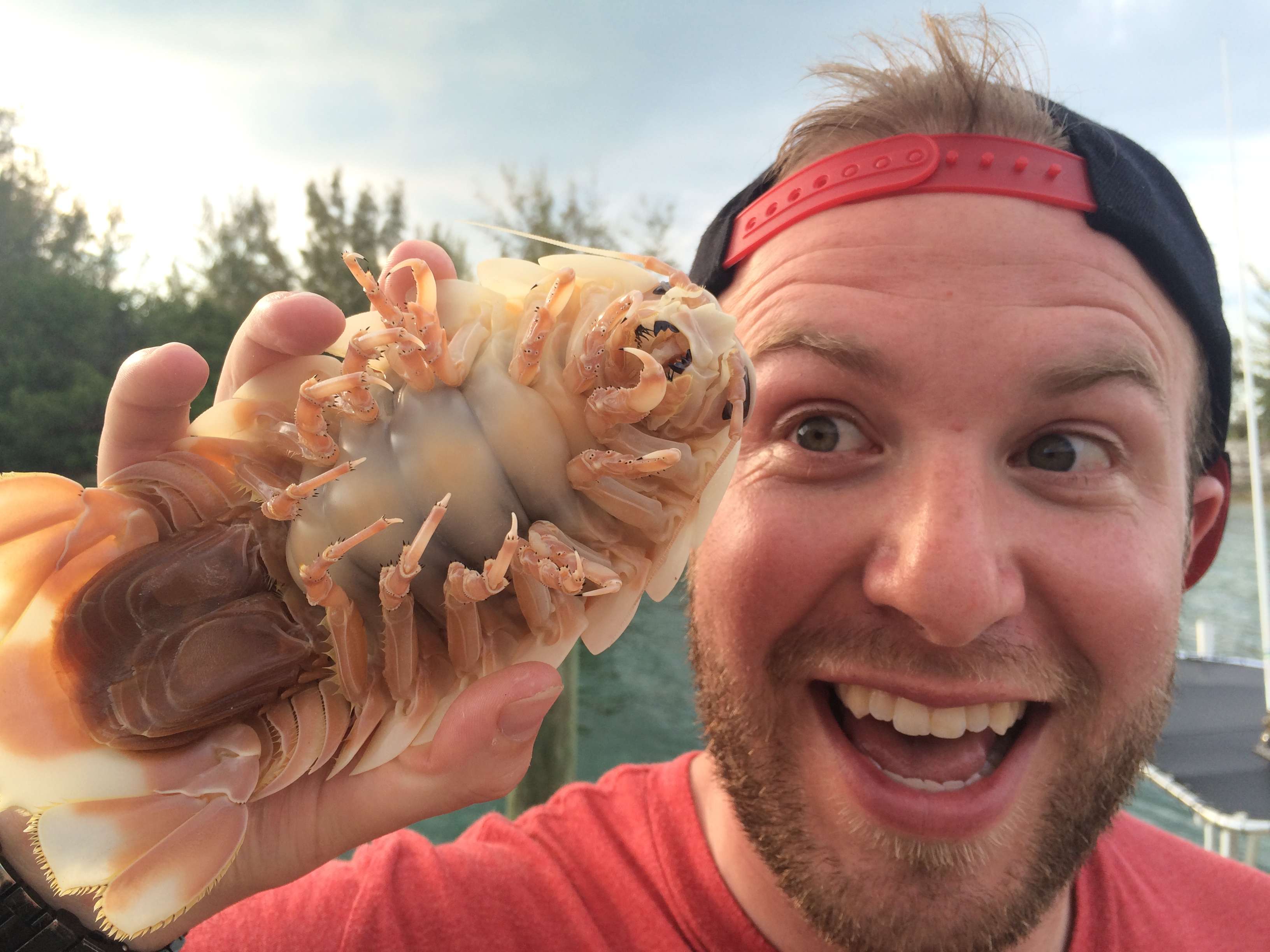 Alumni Spotlight: Connor Boals F03 - The Island School