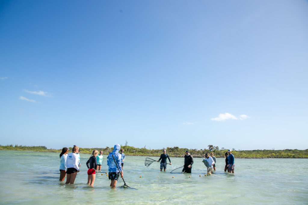 Spring 2025 Student Research Project: Stingrays - The Island School